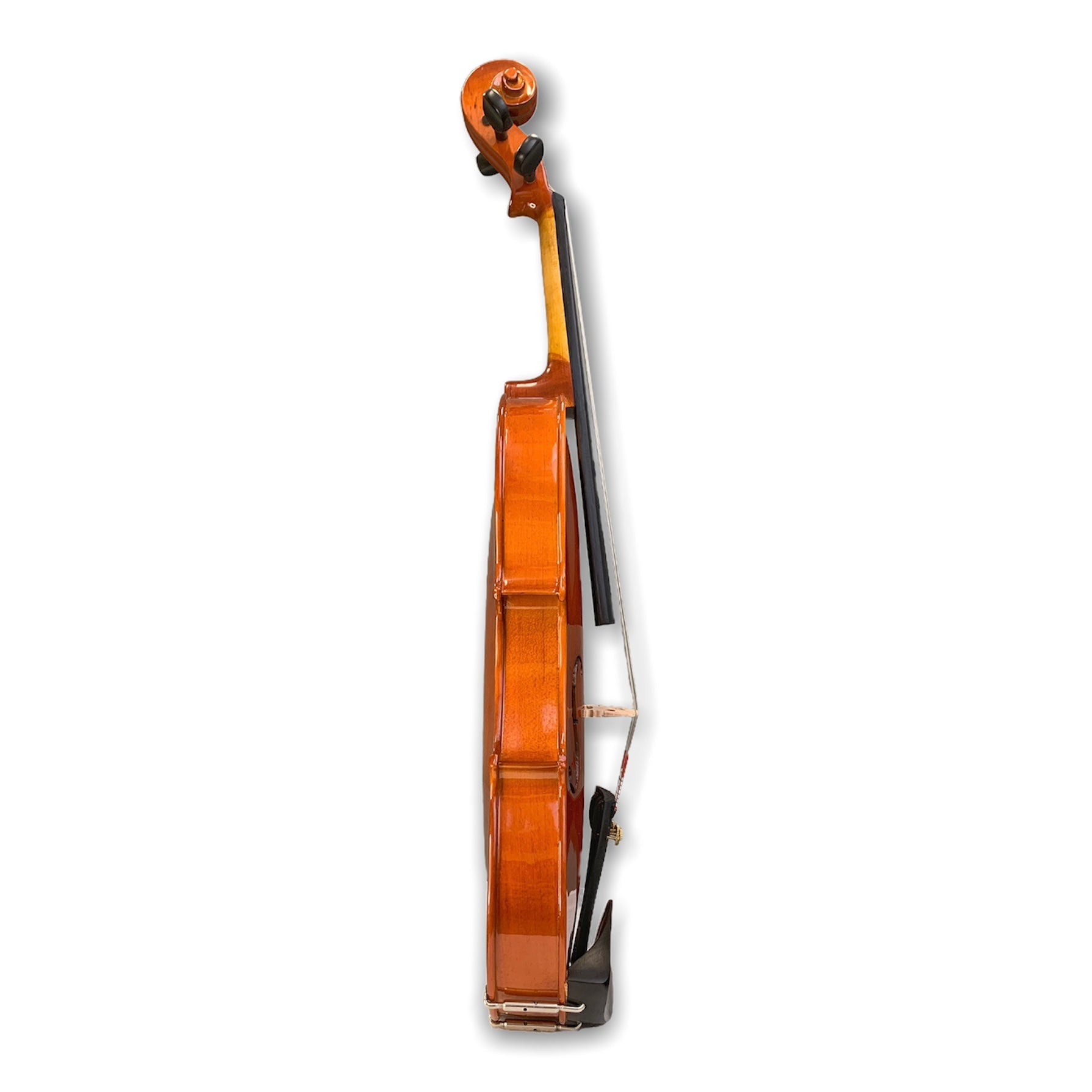 Western Australia's #1 Orchestral String Instruments & Repair Shop