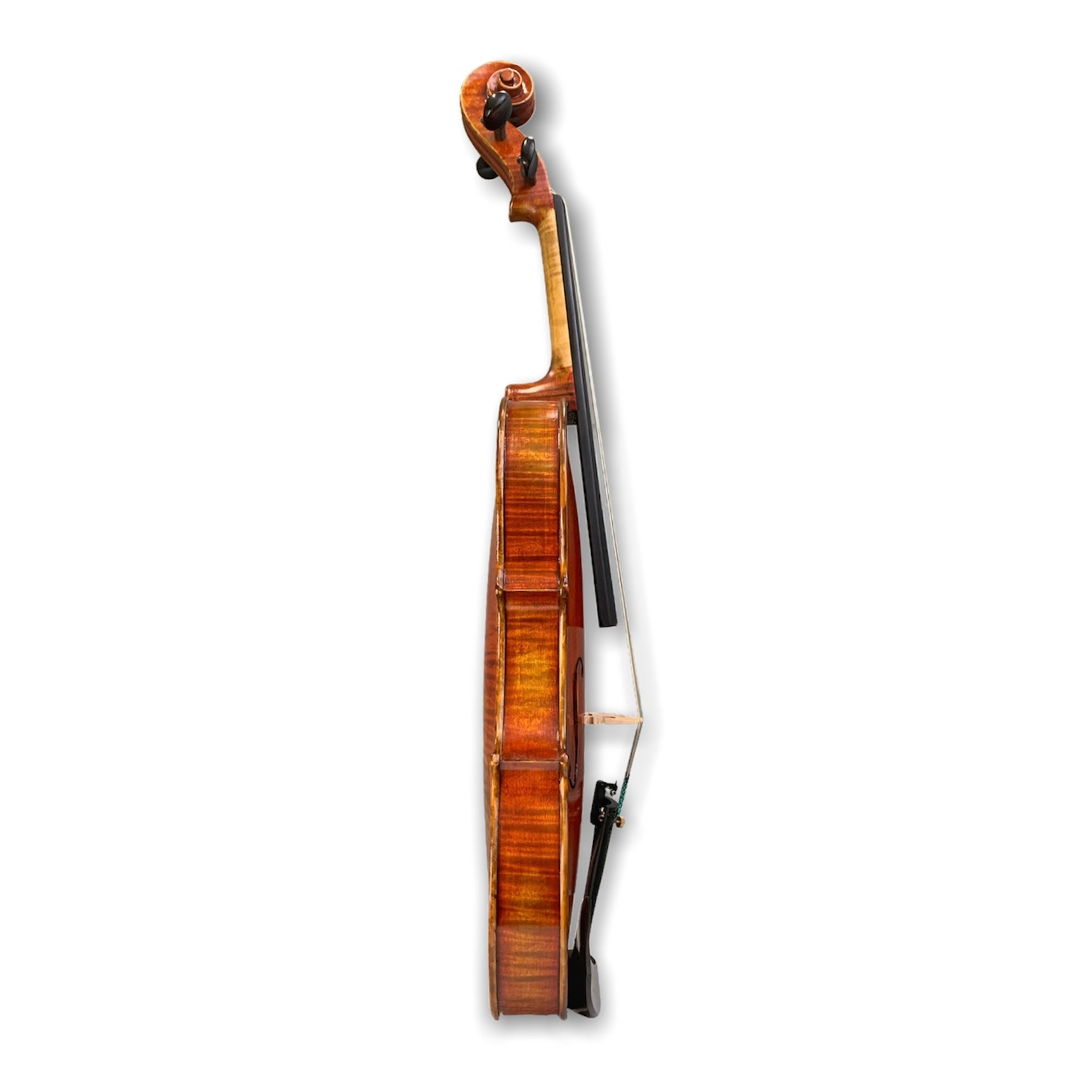 Western Australia's #1 Orchestral String Instruments & Repair Shop