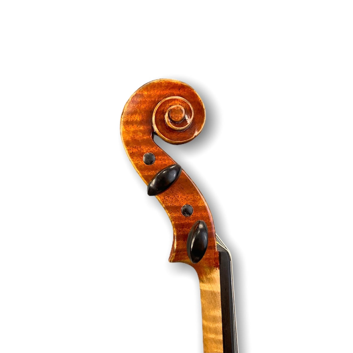 Western Australia's #1 Orchestral String Instruments & Repair Shop